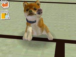 Nintendogs Lab and Friends - Nintendo DS