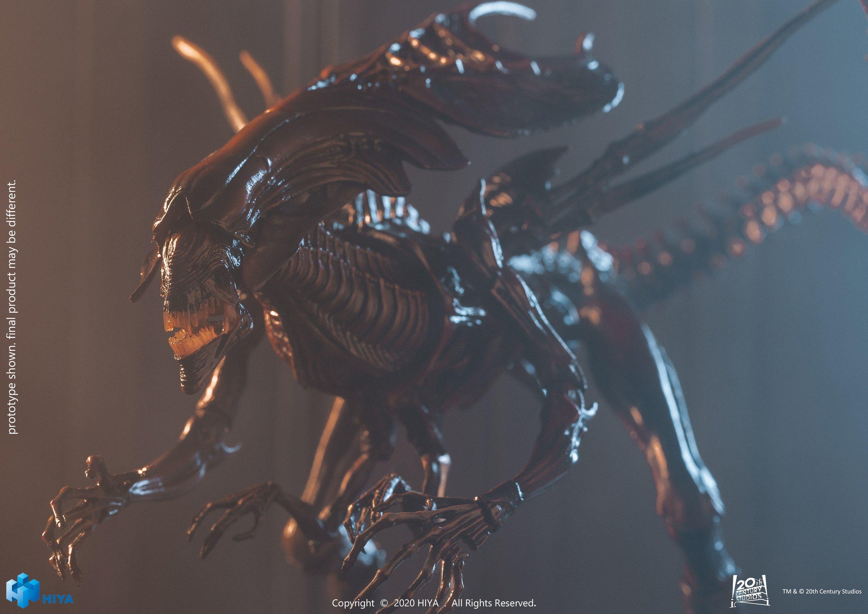 Alien Vs Predator Alien Queen Toy