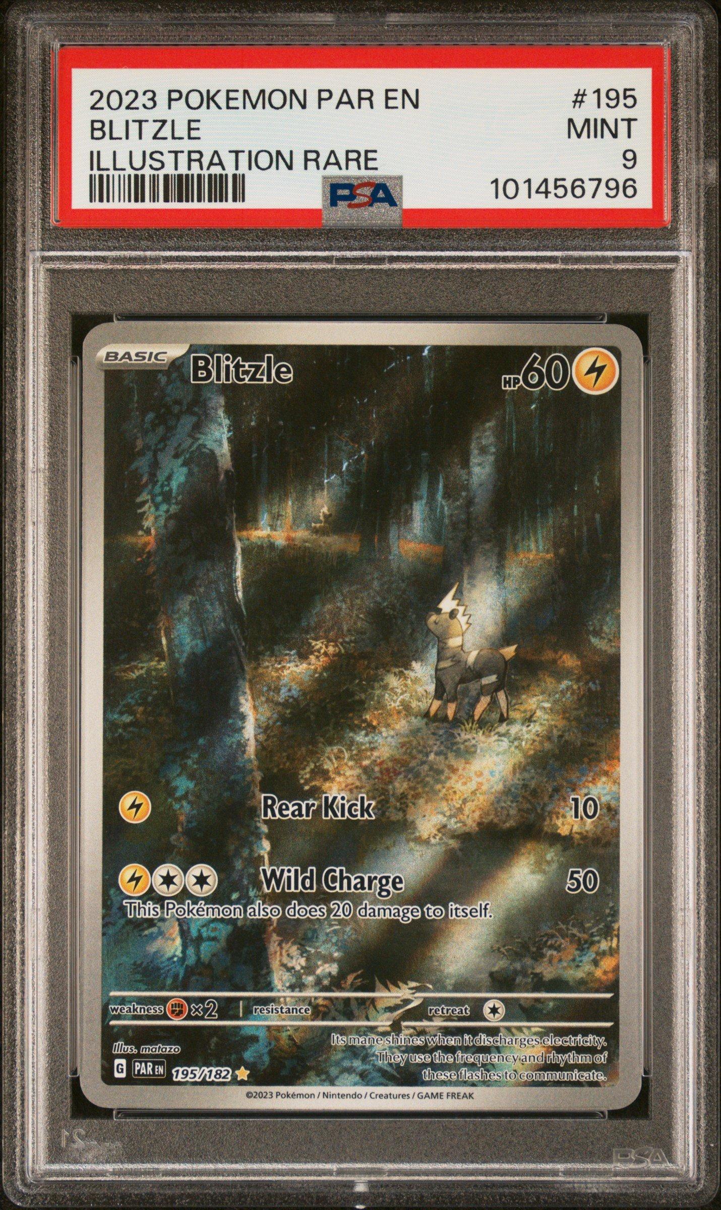 2023 Pokemon Par En-paradox Rift 195 Blitzle Illustration Rare PSA 9 ...