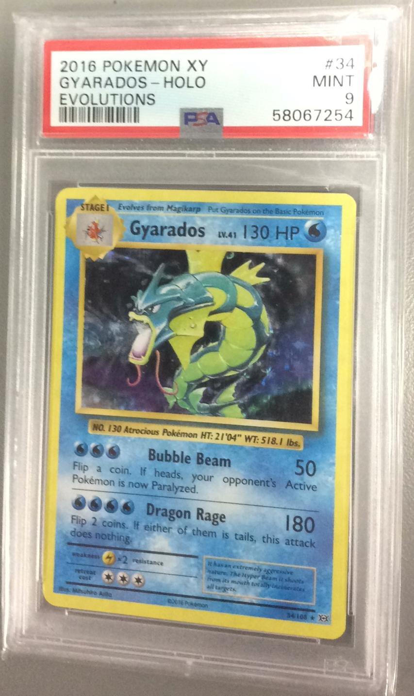 2016 Pokemon Xy Evolutions 34 Gyarados-holo PSA 9 | GameStop