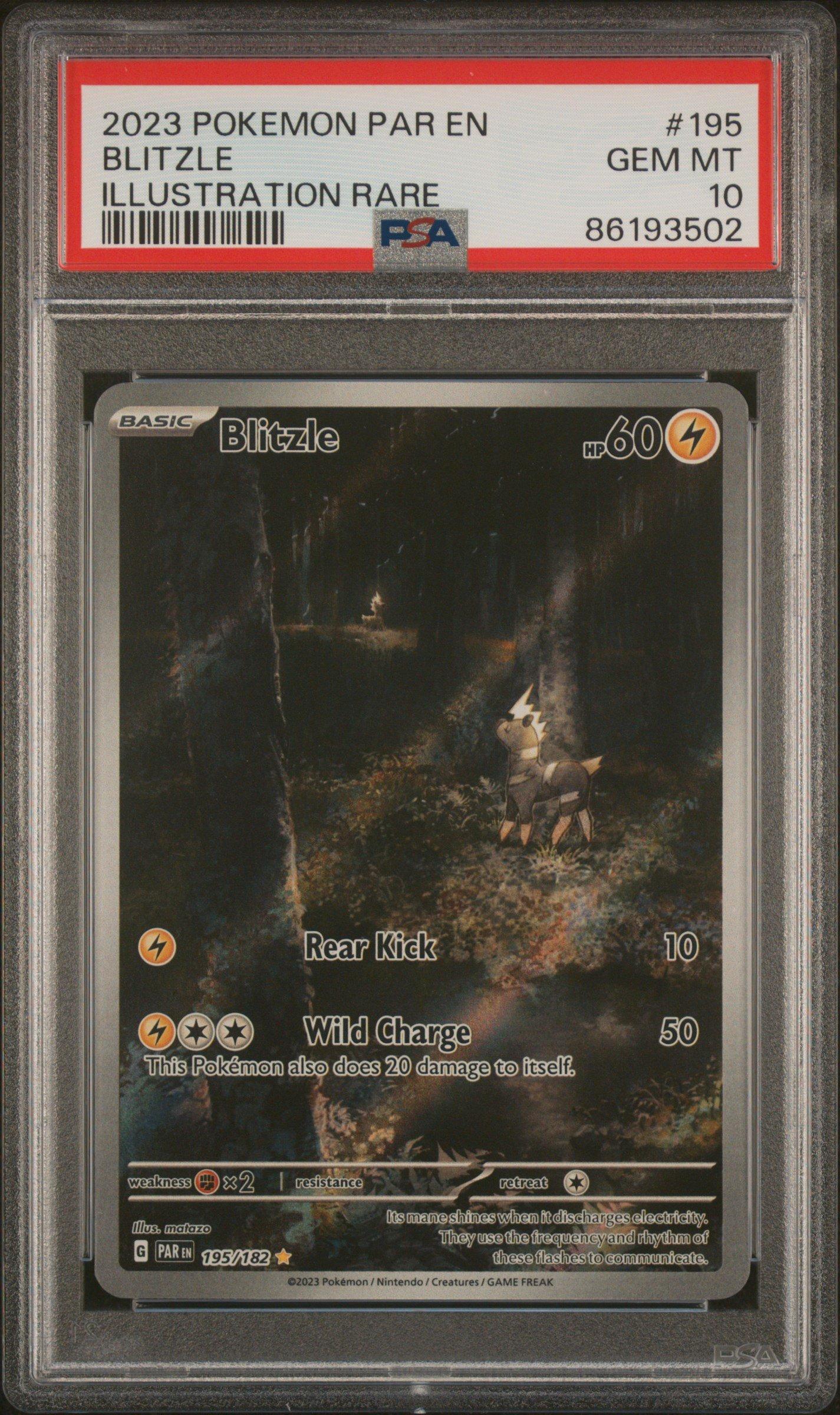 2023 Pokemon Par En-paradox Rift 195 Blitzle Illustration Rare PSA 10 ...