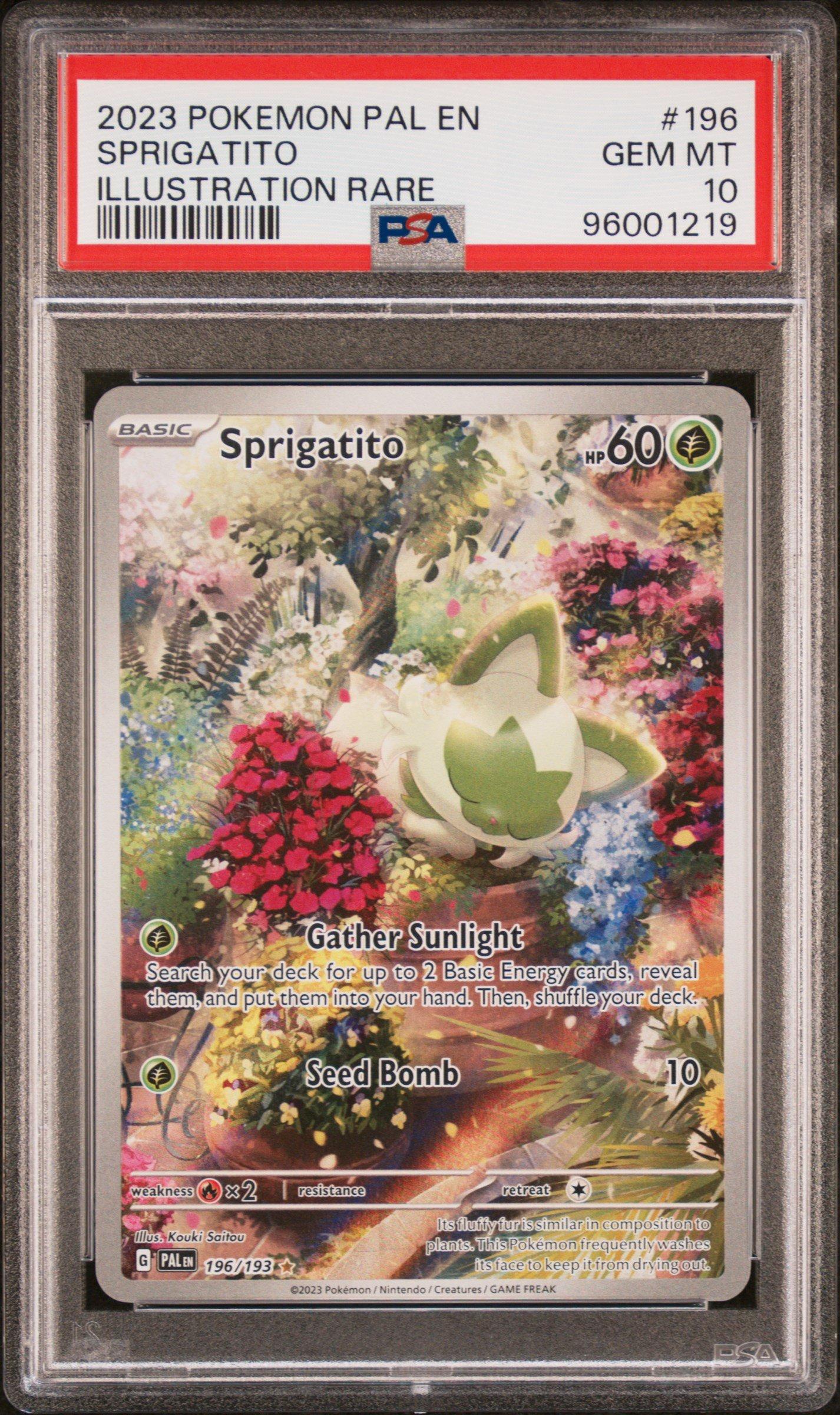 2023 Pokemon Pal En-paldea Evolved 196 Sprigatito Illustration Rare PSA ...