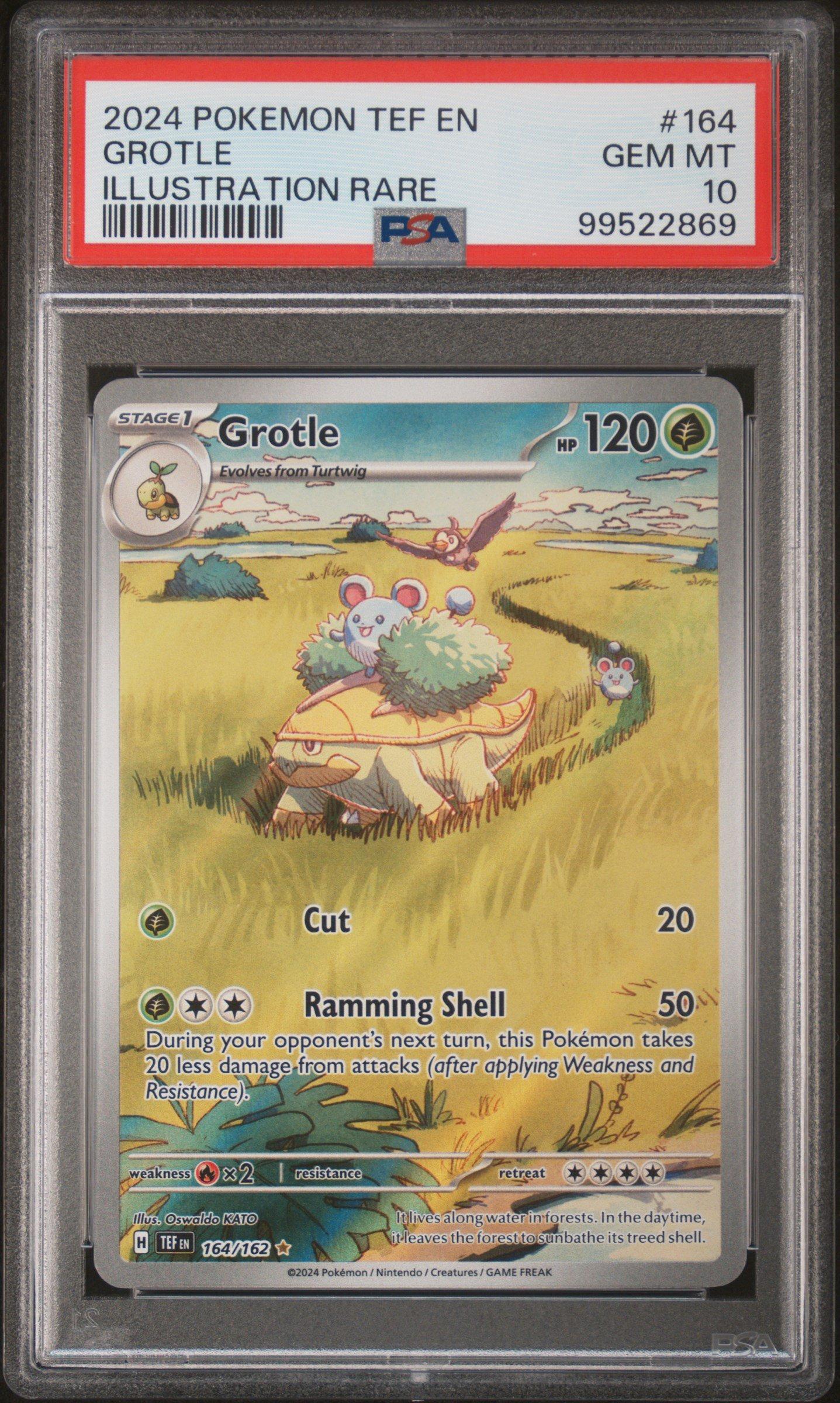 2024 Pokemon Tef En-temporal Forces 164 Grotle Illustration Rare PSA 10 ...